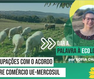 Partido Ecologista "Os Verdes"