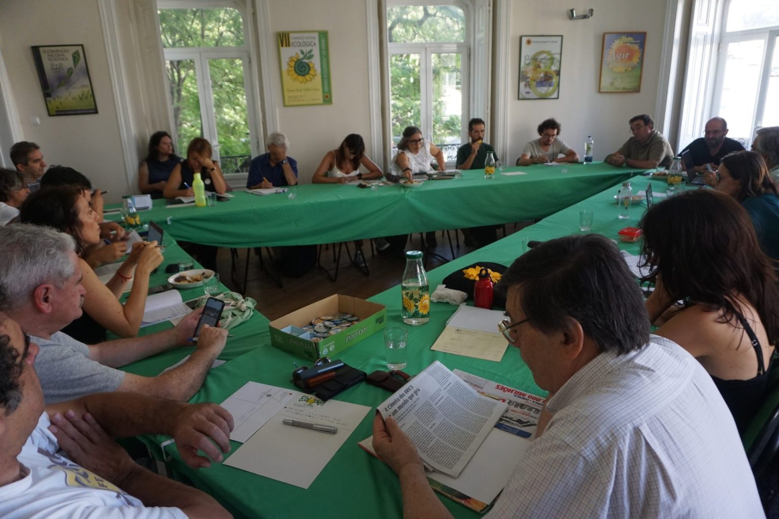 Partido Ecologista "Os Verdes"
